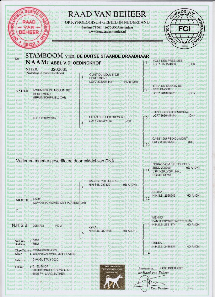 Dekreu: Abel van de Oedinckhof - Vereniging Vrienden Duits Draadhaar